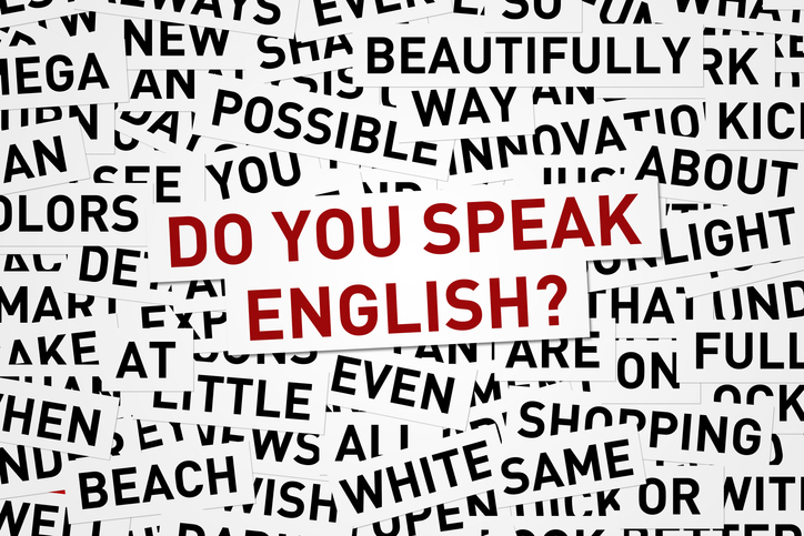 Qual è la differenza tra i verbi To own e To owe in inglese? | Studenti.it