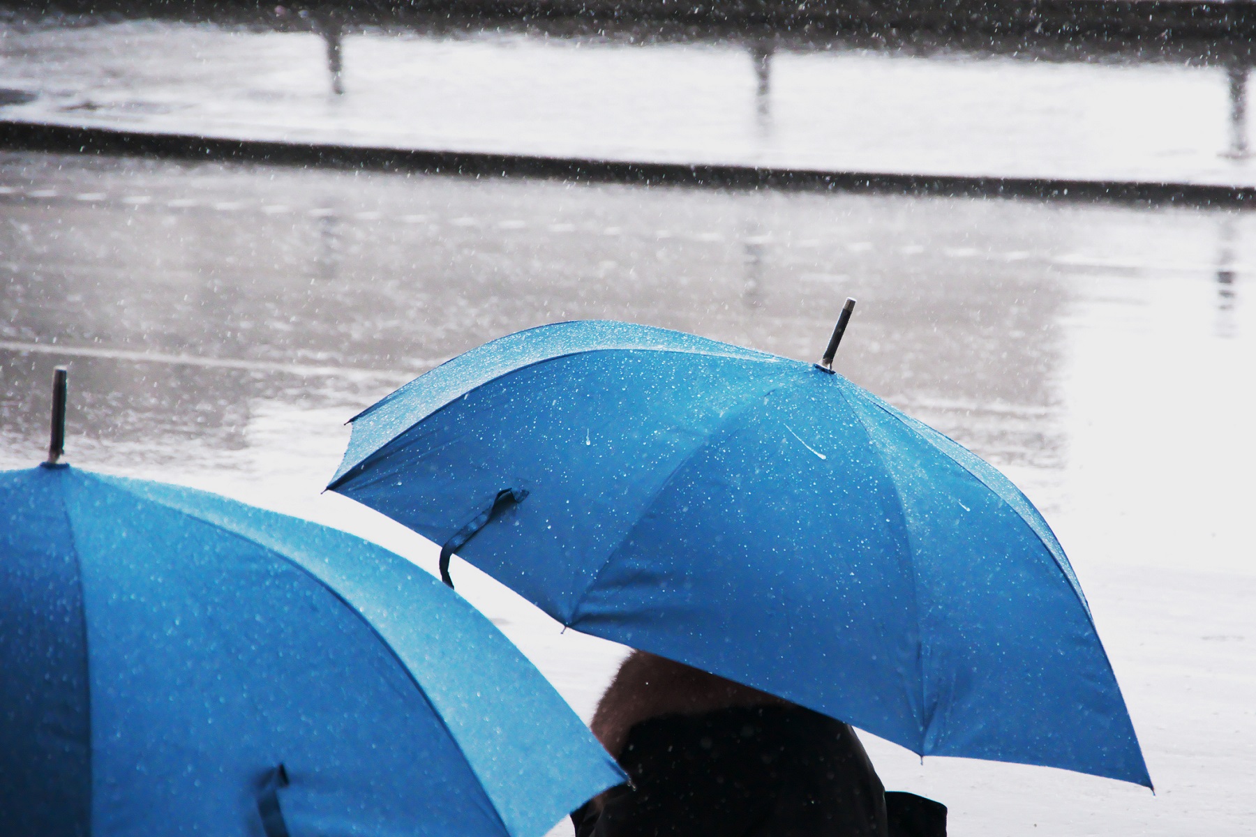 Scuole chiuse per maltempo il 10 ottobre: ecco dove | Studenti.it