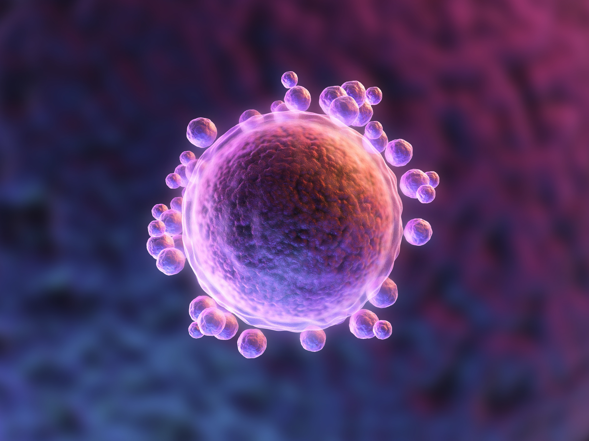 Biologia Dei Gameti Spermatogenisis | Human Anatomy And Physiology,