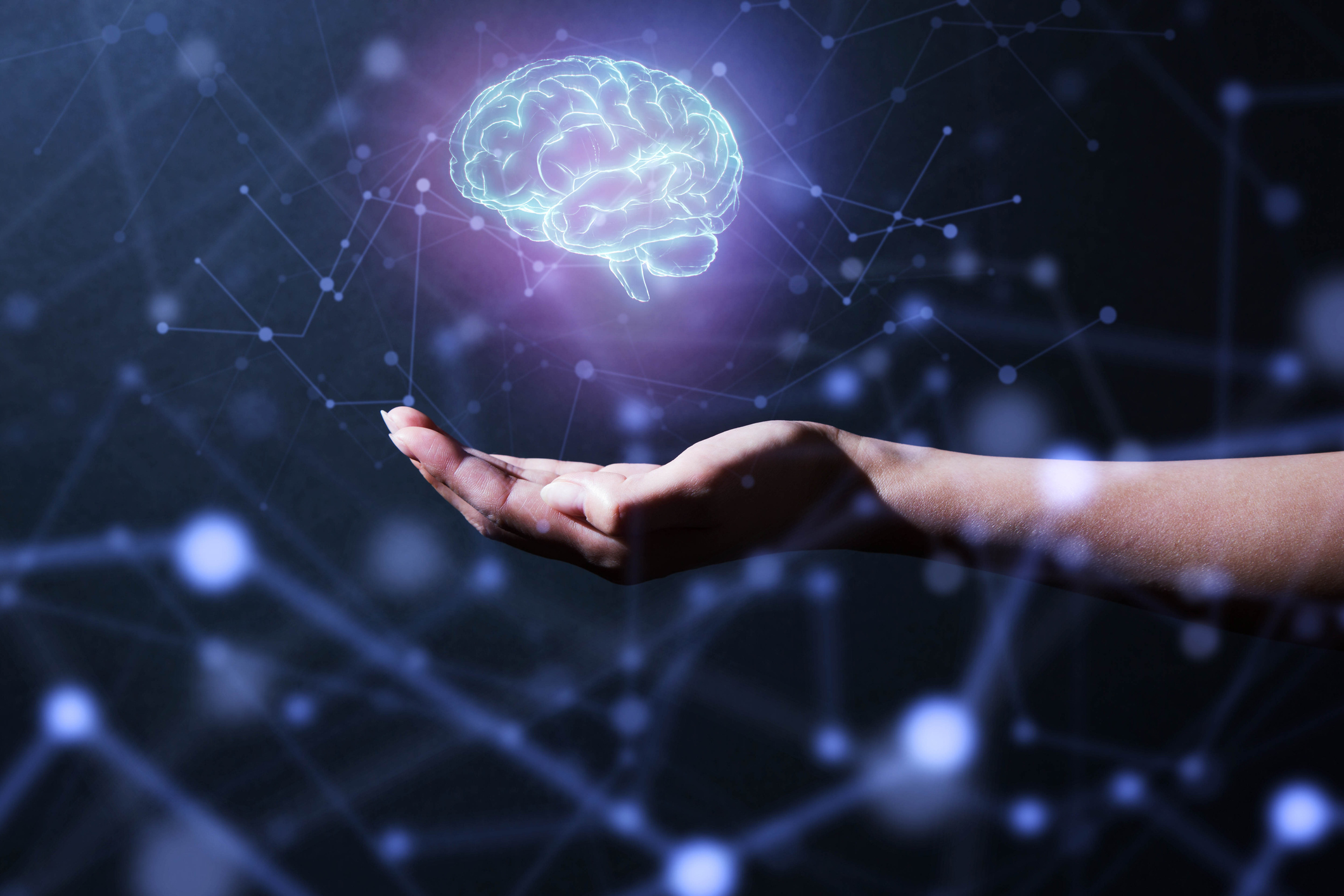 Conoscenza Del Cervello