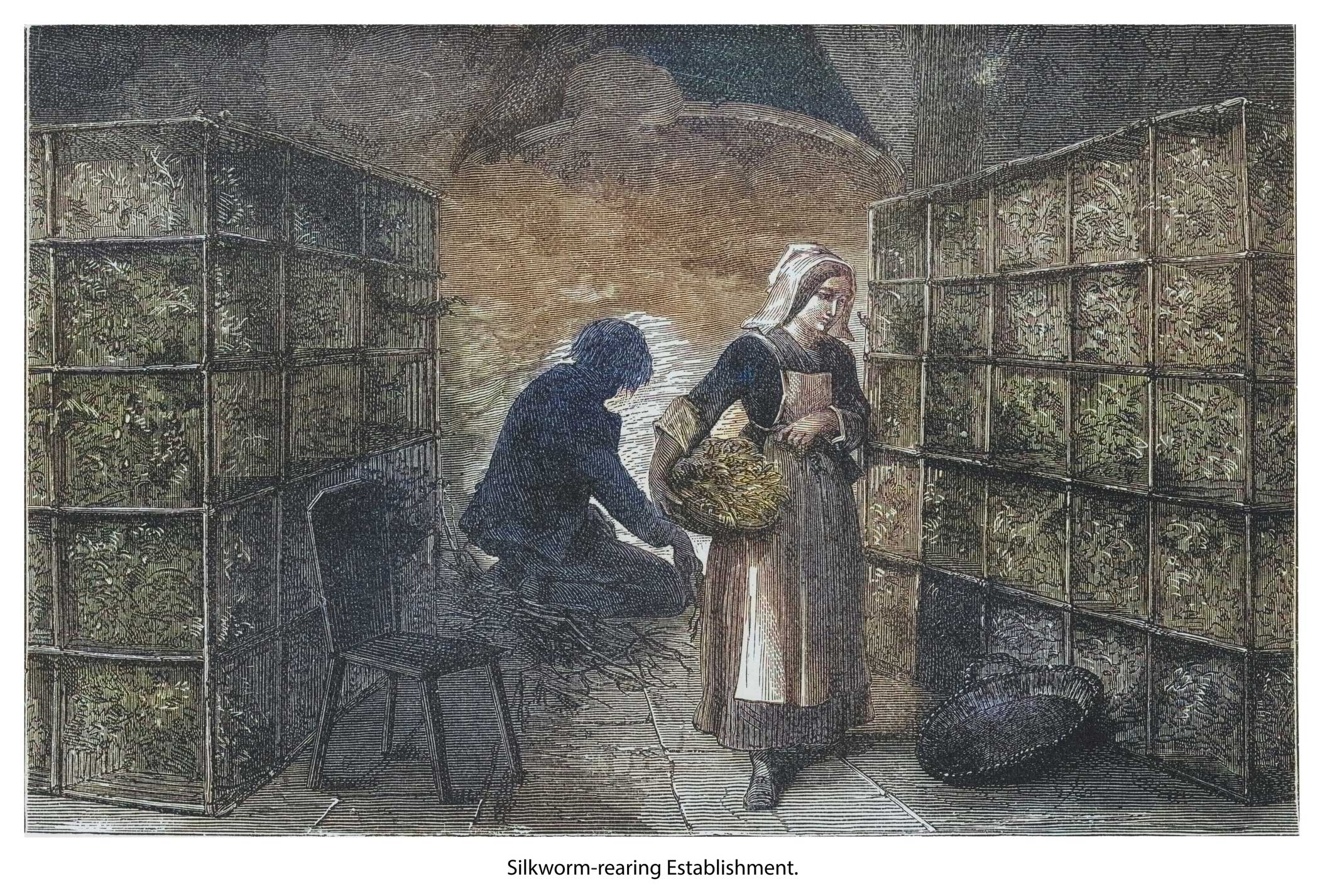 Significato e differenze tra signoria fondiaria e territoriale | Studenti.it