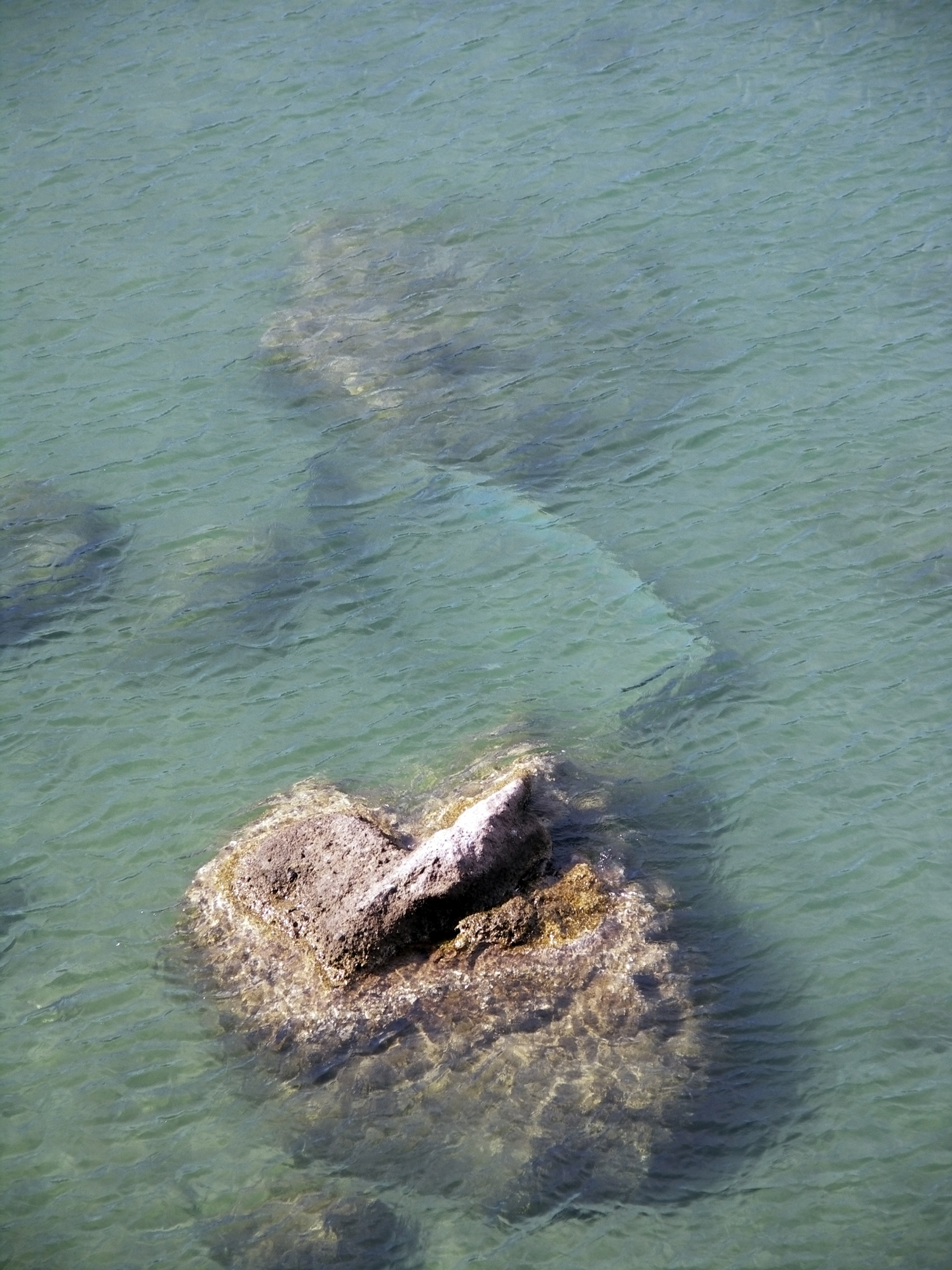 Manifesto di Ventotene: spiegazione semplice, punti fondamentali e ...