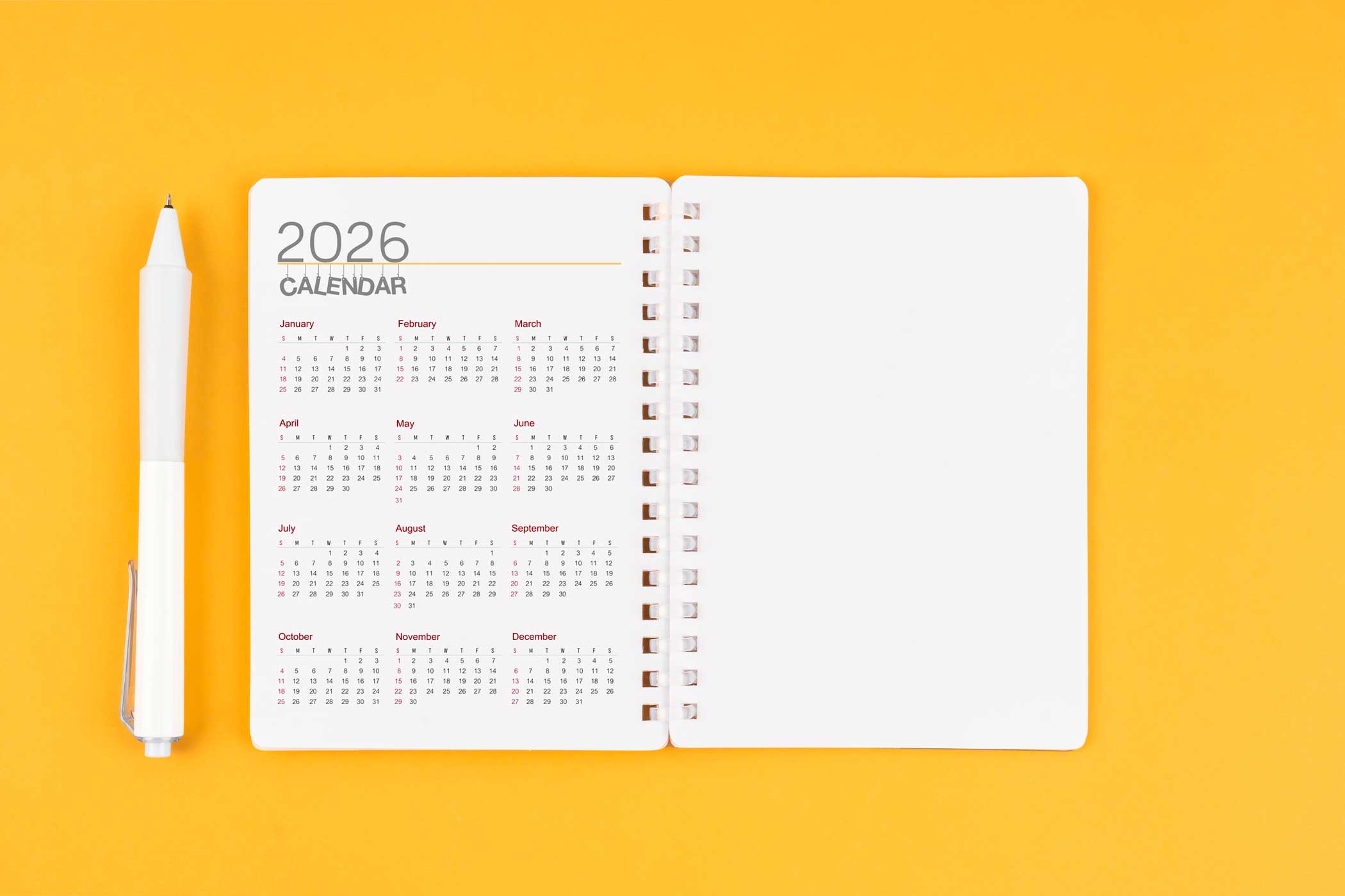 Calendario scolastico 2026/27: ponti, festività e chiusure previste ...